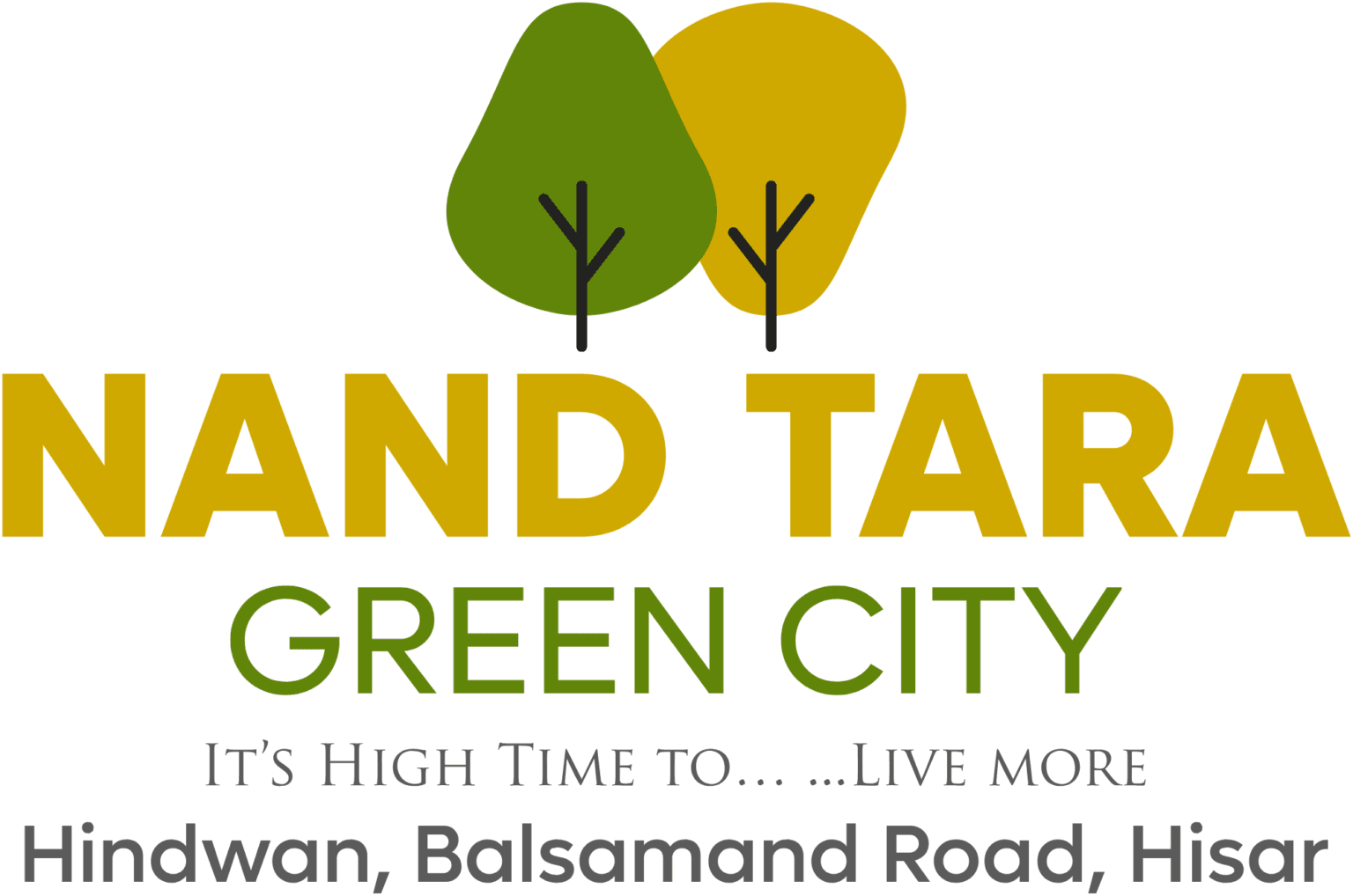 The Rise of Residential Townships in Hisar: What Nand Tara Green City ...